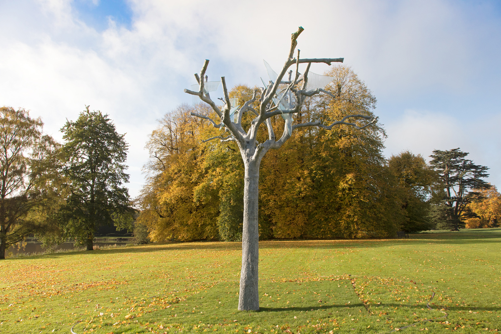 Ariel Schlesinger: Ways To Say Goodbye — Art in Public